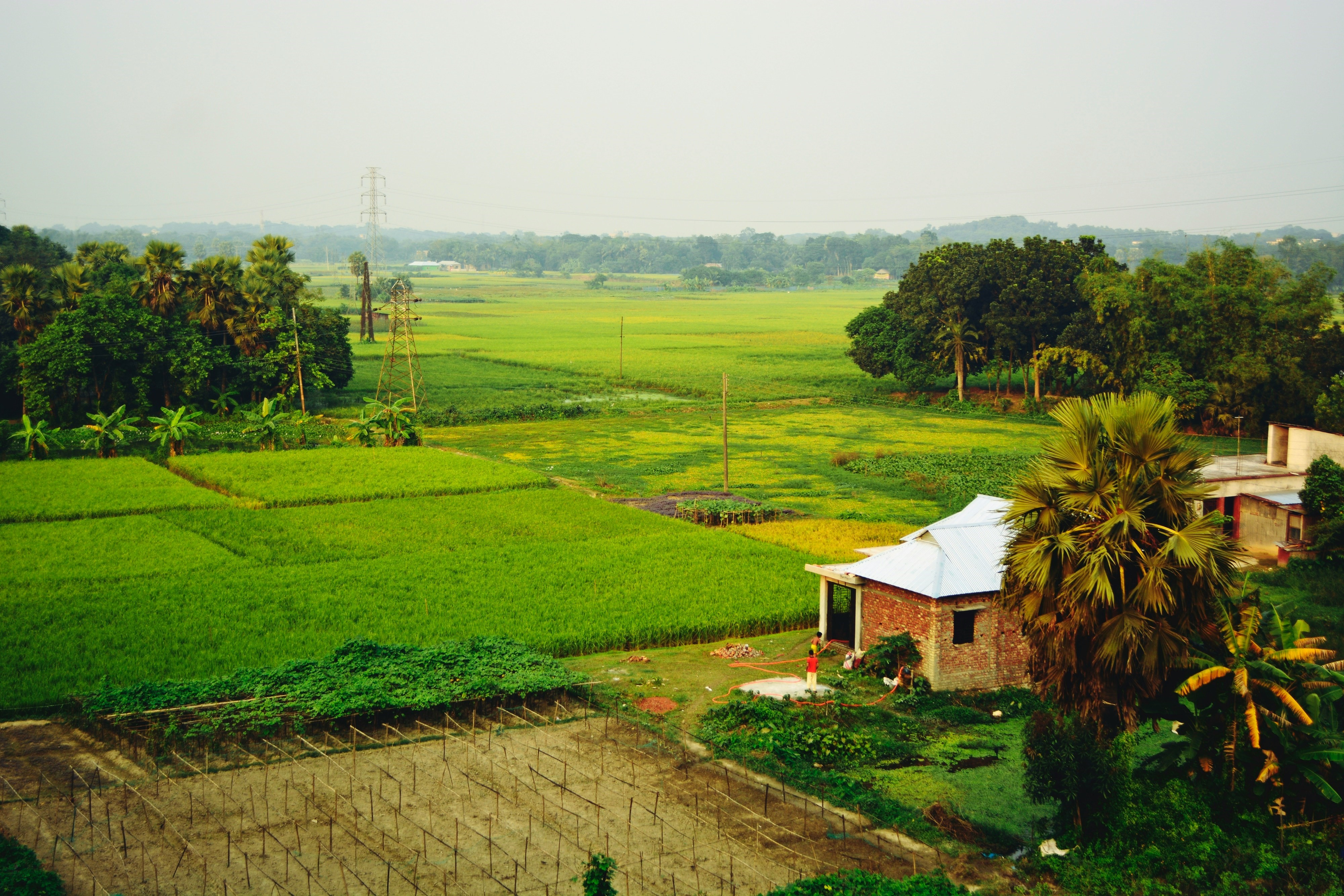 Lotus Grove Homes